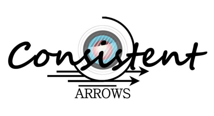 China consistent arrows company profile