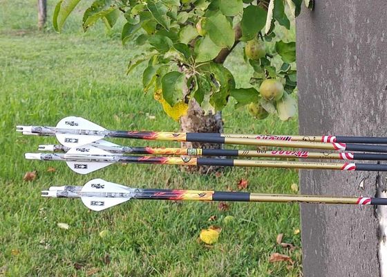 Whole Carbon Arrows factory, Buy good quality Whole Carbon Arrows ...