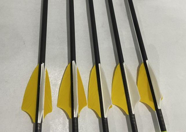 Easton Vector .165"(4.2mm) spine 600/800/1000/1200 Youth/Beginner ...