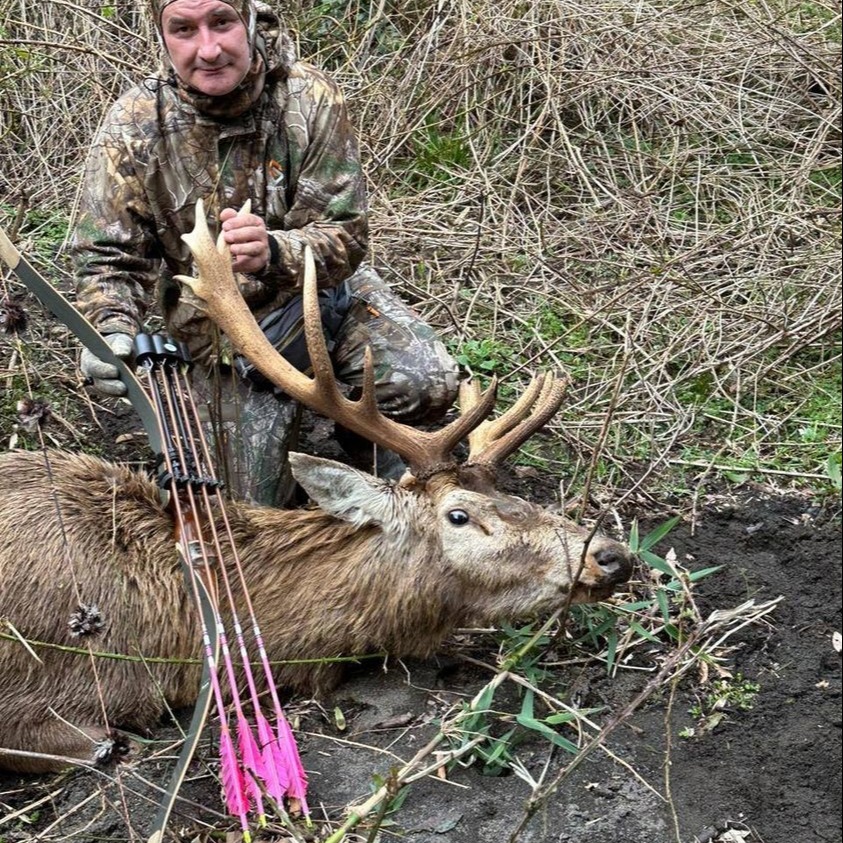 Easton Vector .165"(4.2mm) spine 600/800/1000/1200 Youth/Beginner ...