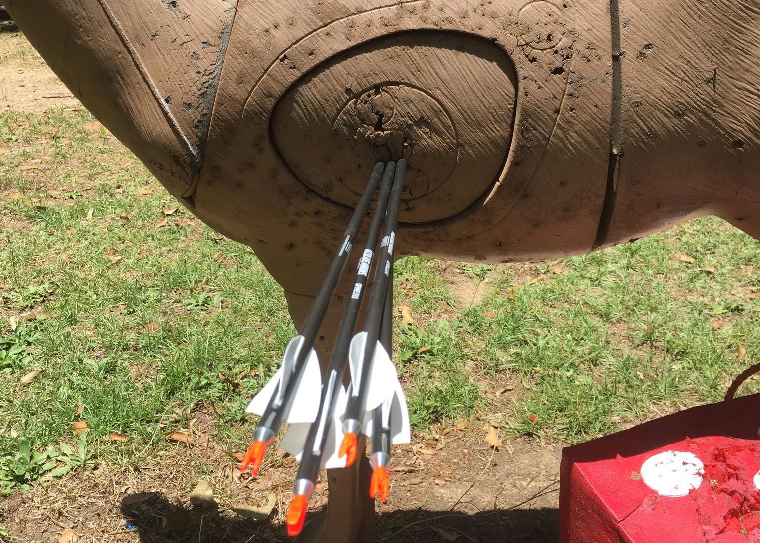 3d Target, Indoor Archery, Light Weight 19/64" spine 300/350/400/500 ...