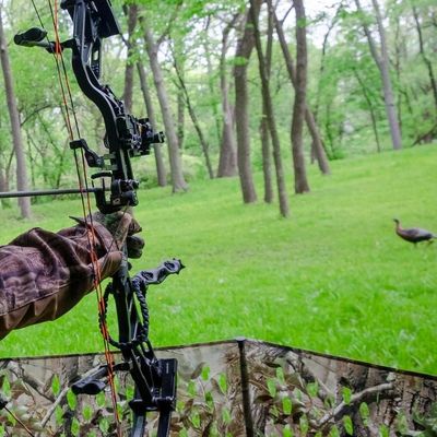 ID.245"(6mm) SPINE 250/300/350/400500/600 Hunting Budget STRIKER ARROWS